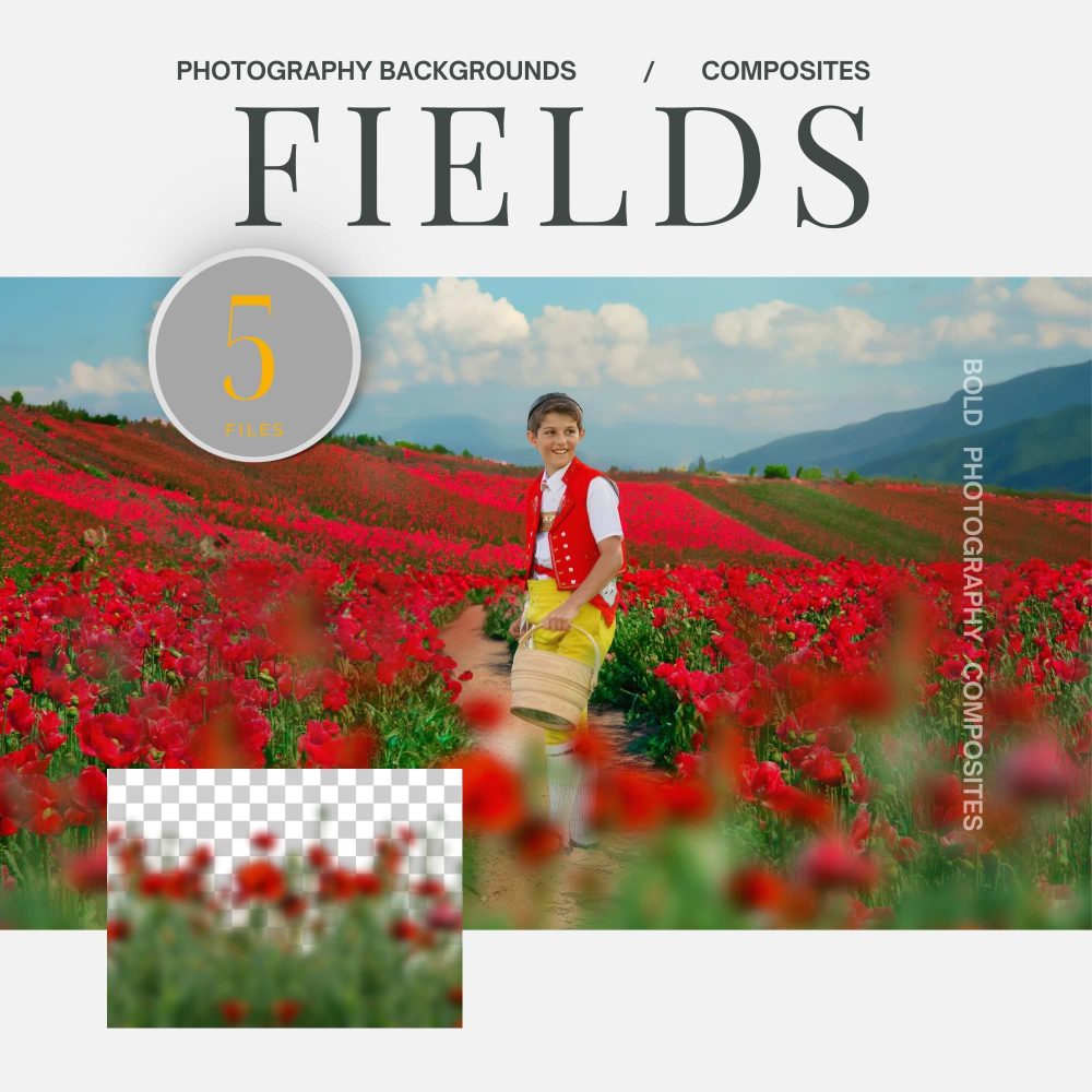 Red Photography Background Fields Red Flower Fields Digital Flower ...